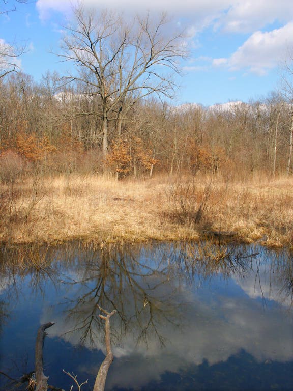 Kickapoo State Park Illinois Stock Image - Image of environment, park ...