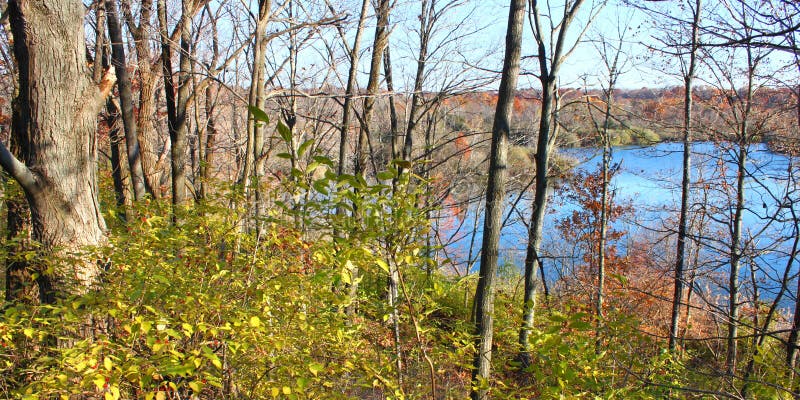 Kickapoo State Park Illinois Stock Image - Image of clear, environment ...