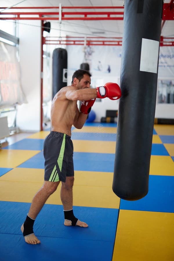Kickbox Fighter Training with the Punch Bag Stock Image - Image of ...