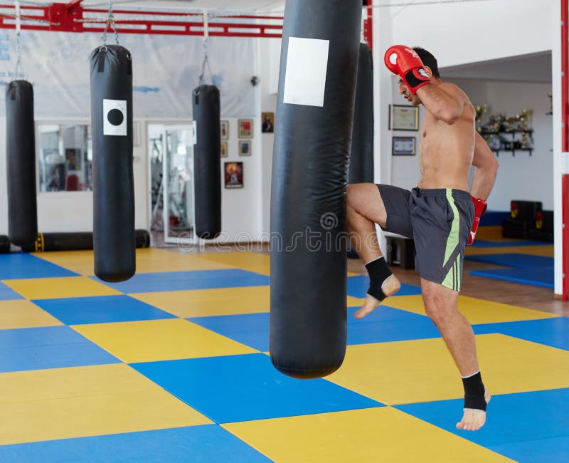 Kickbox Fighter Training with the Punch Bag Stock Photo - Image of ...