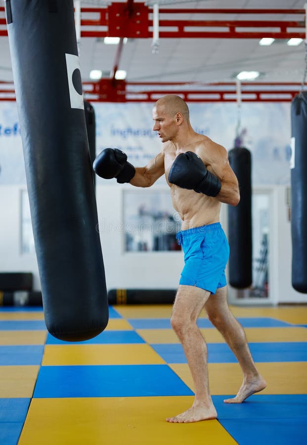 Kickbox Fighter Training with the Punch Bag Stock Photo - Image of ...