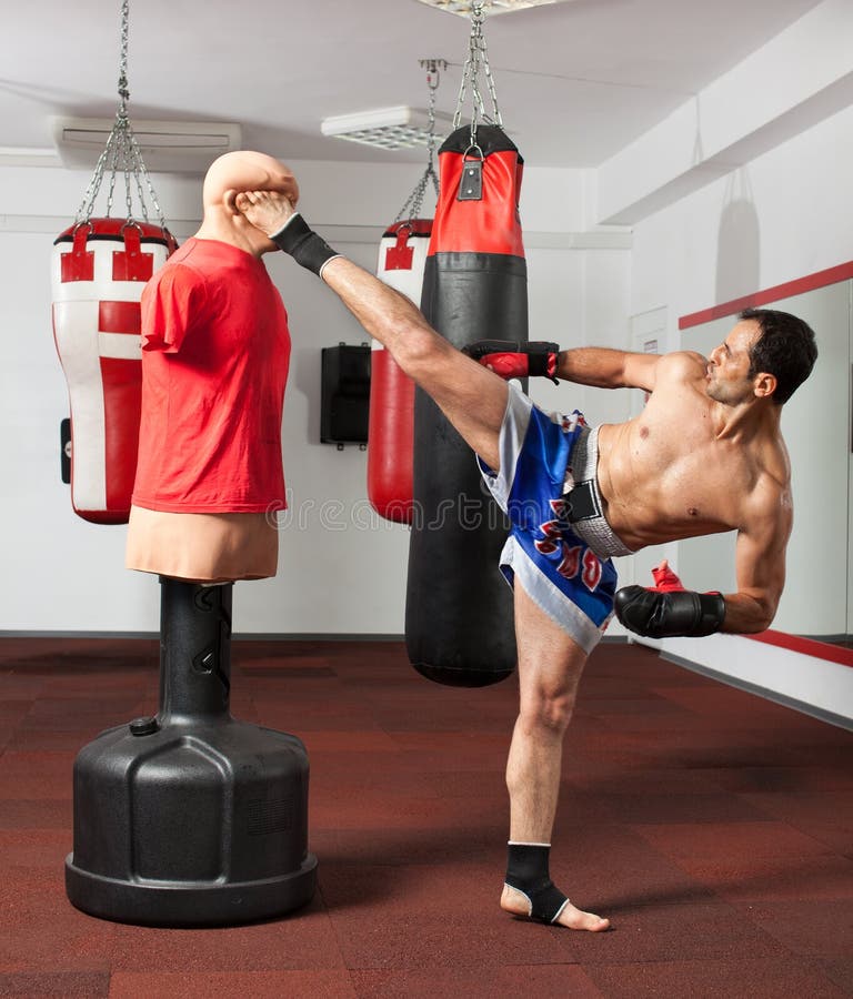 Kick Boxing Dummy Stock Photos - Free & Royalty-Free Stock Photos from ...