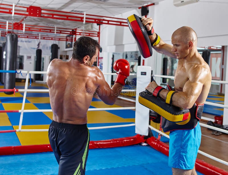 Kickbox Fighters Training in the Ring Stock Photo - Image of boxer ...