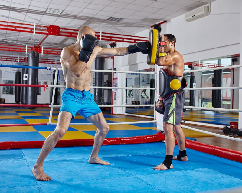 Kickbox Fighters Training in the Ring Stock Photo - Image of boxer ...