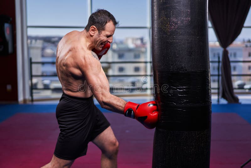 Kickboxer Hitting the Heavy Bag in the Gym Stock Photo - Image of ...