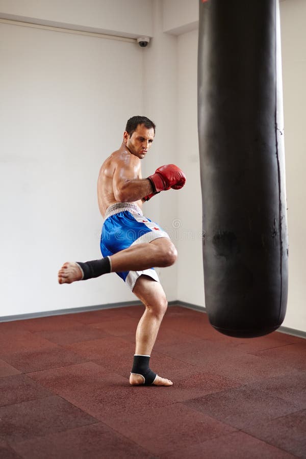 Kickboxer Training with Punchbag Stock Photo - Image of gloves, people ...