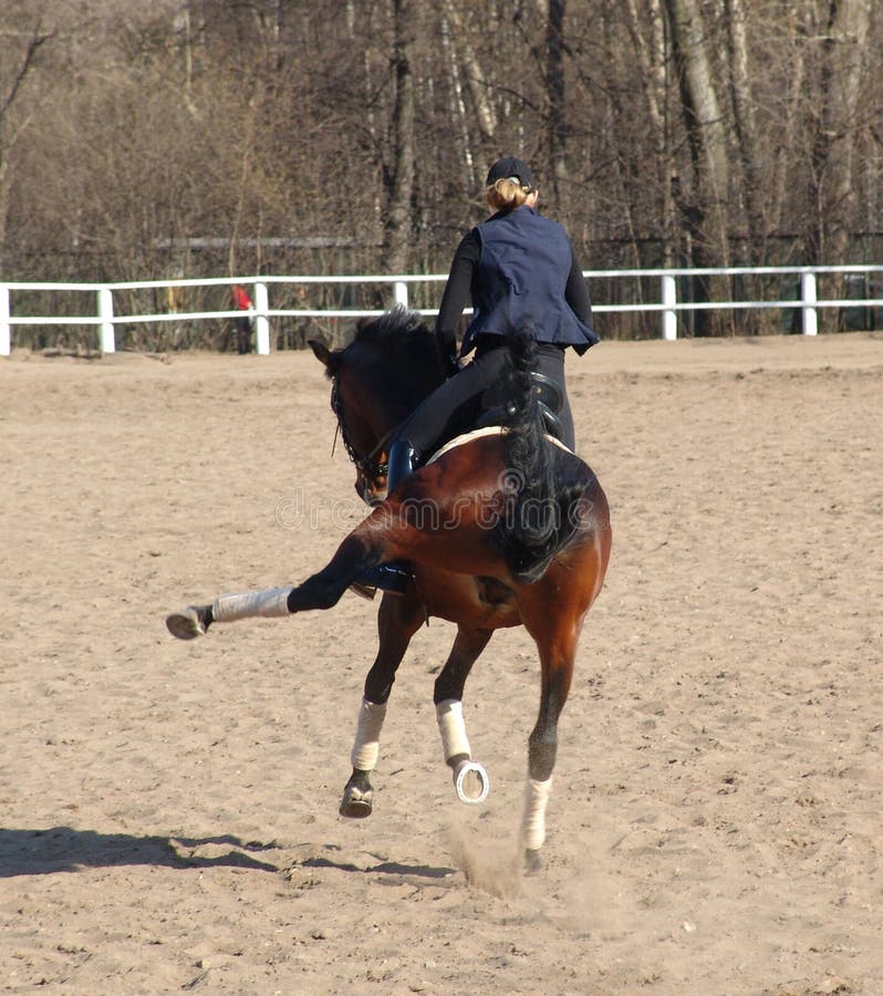 Horse refusing jump stock image. Image of falls, girls - 72867169