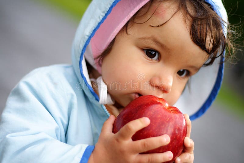 Toddler Boy Eating an Early Apple Stock Image - Image of windfall ...
