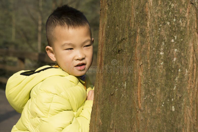 Boy hiding behind tree stock photo. Image of childhood - 57824930