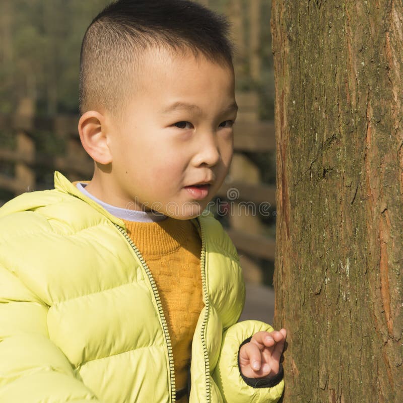 Kid behind tree stock image. Image of tree, peek, childhood - 64574493