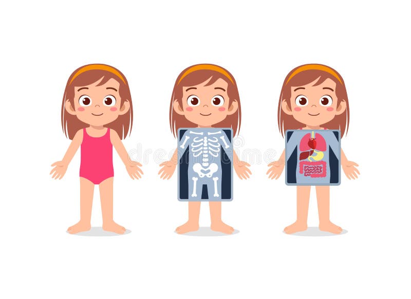 Kid Body Structure for Education in School Stock Vector - Illustration ...
