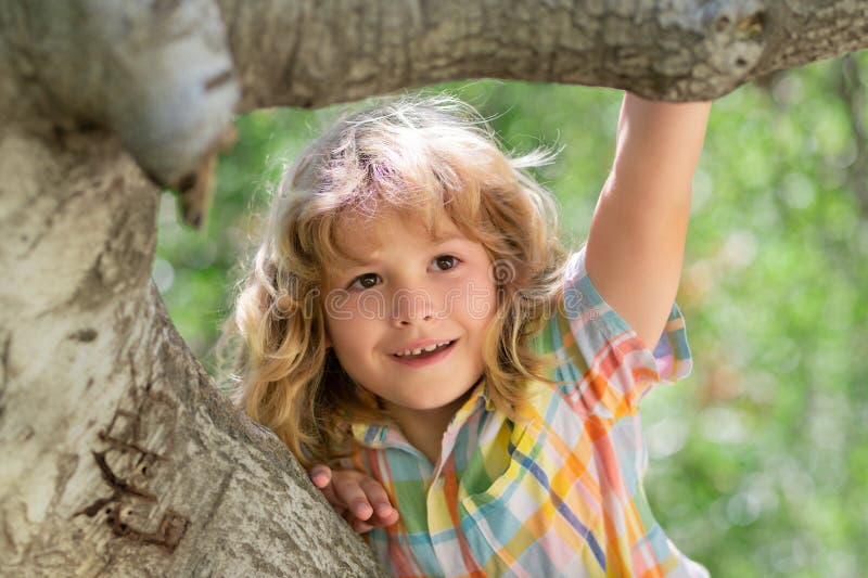 Kid Boy Playing and Climbing a Tree and Hanging Branch. Stock Photo ...