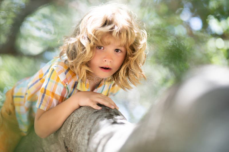 Kid Boy Playing and Climbing a Tree and Hanging Branch. Stock Image ...