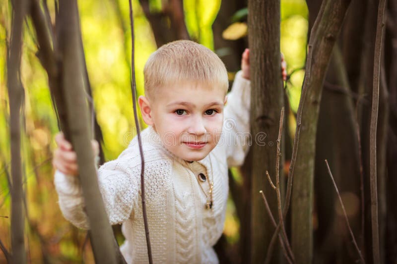 Kid Boy Playing among Tree Branches Stock Image - Image of garden, cute ...