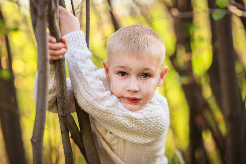 Kid Boy Playing among Tree Branches Stock Image - Image of cheerful ...