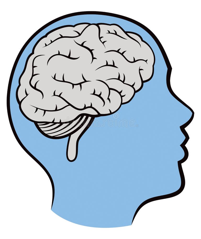 Anatomical Child Brain Stock Illustrations – 239 Anatomical Child Brain ...