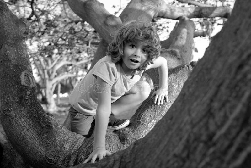Kid Child Playing Riding a Tree Branch. Stock Image - Image of toddler ...