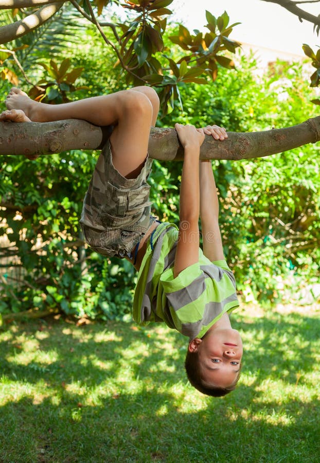 Kid climbing on a tree stock image. Image of hang, hanging - 50791021