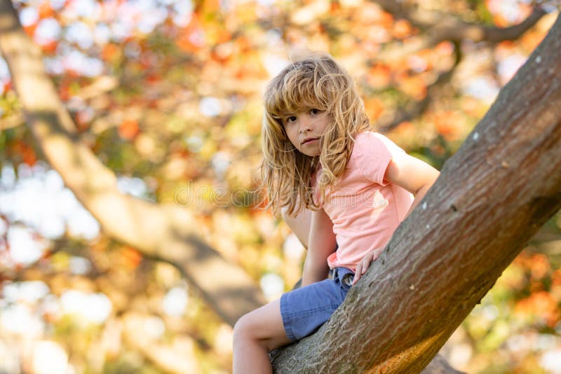 Kid Climbing on a Tree Branch. Child Climbs a Tree. Stock Photo - Image ...