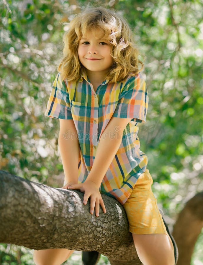 Kid Climbing on a Tree Branch. Child Climbs a Tree. Stock Photo - Image ...