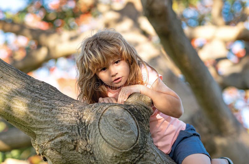 Kid Climbing on a Tree Branch Outdoor. Stock Photo - Image of childhood ...