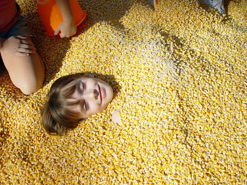Kid in the Corn stock image. Image of patch, fall, happy - 1370829
