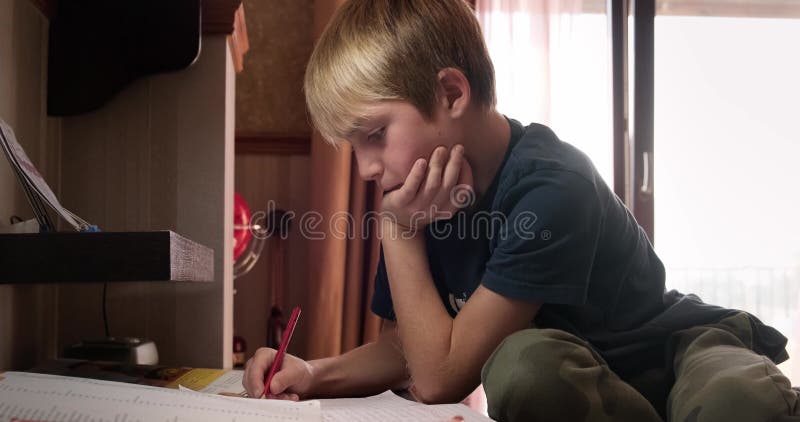 Kid doing homework stock footage. Video of pupil, child - 235513290