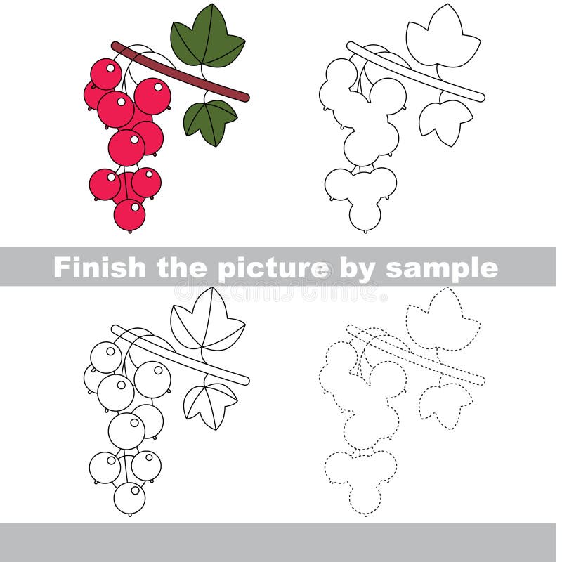 Drawing Tutorial Red Currant Stock Illustrations – 8 Drawing Tutorial ...