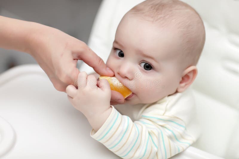 Kid eating orange stock image. Image of chair, bites - 24229639