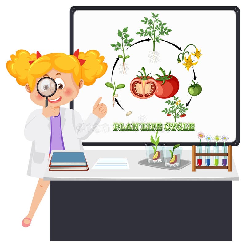 Kid Explaining Parts of a Plant Stock Vector - Illustration of ...