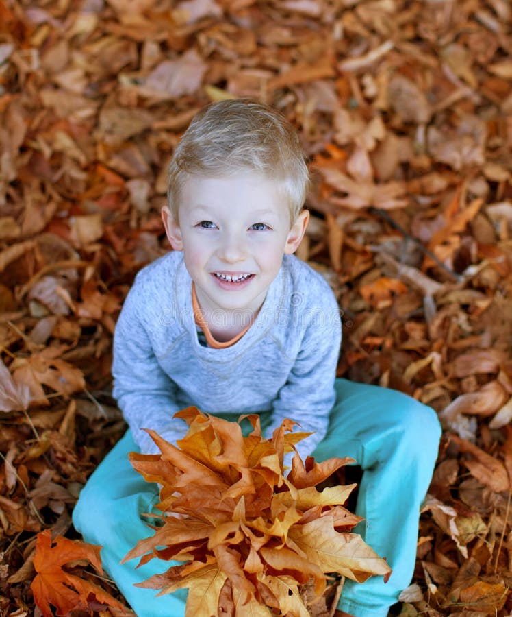 Kid at fall stock photo. Image of color, caucasian, little - 42003210