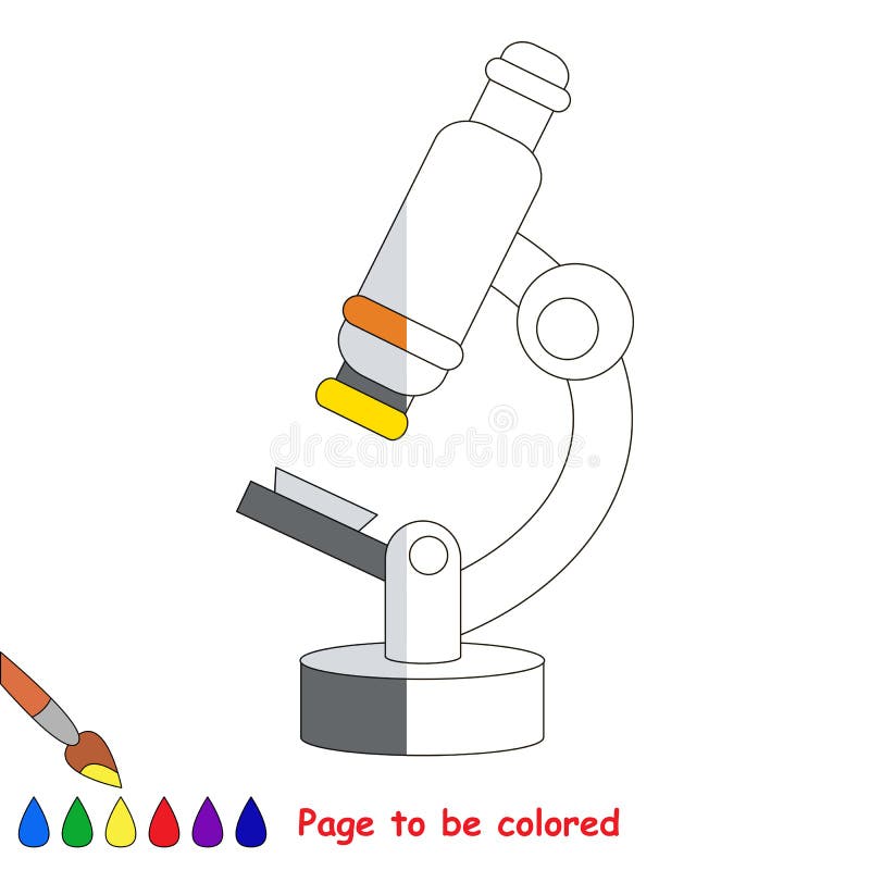 Microscope Diagram For Kids