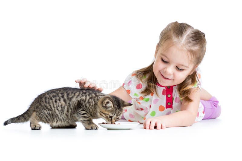 Kid girl feeding kitten stock image. Image of childhood - 36897321