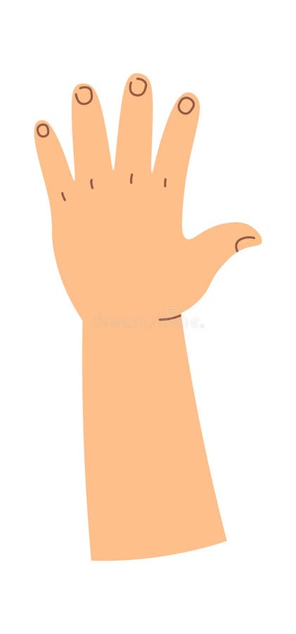 Kid hand showing palm stock vector. Illustration of palm - 272590177