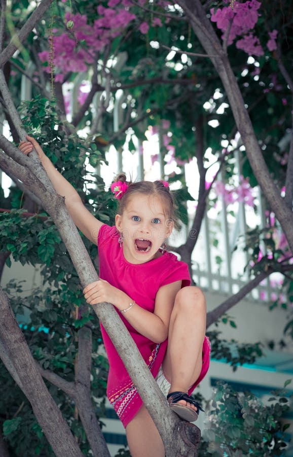 Kid having fun in a tree stock image. Image of safety - 175681369
