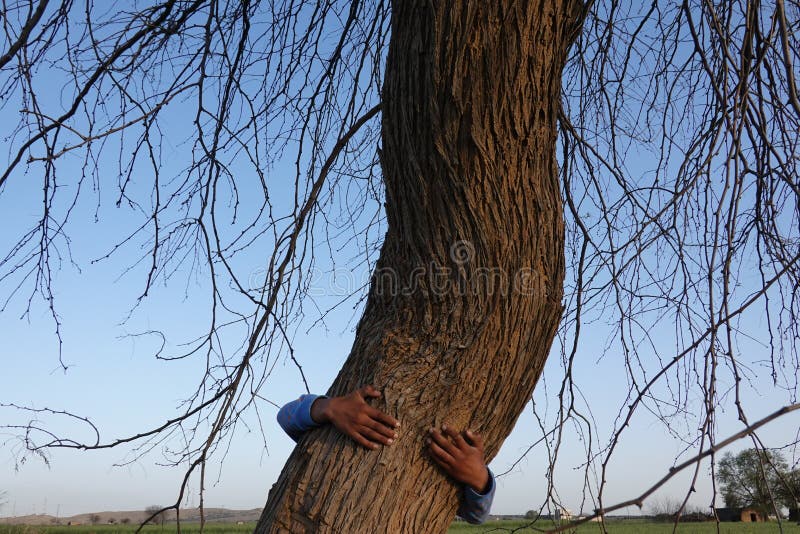 A Kid Hugging the Tree Trunk Stock Photo - Image of grass, branch ...