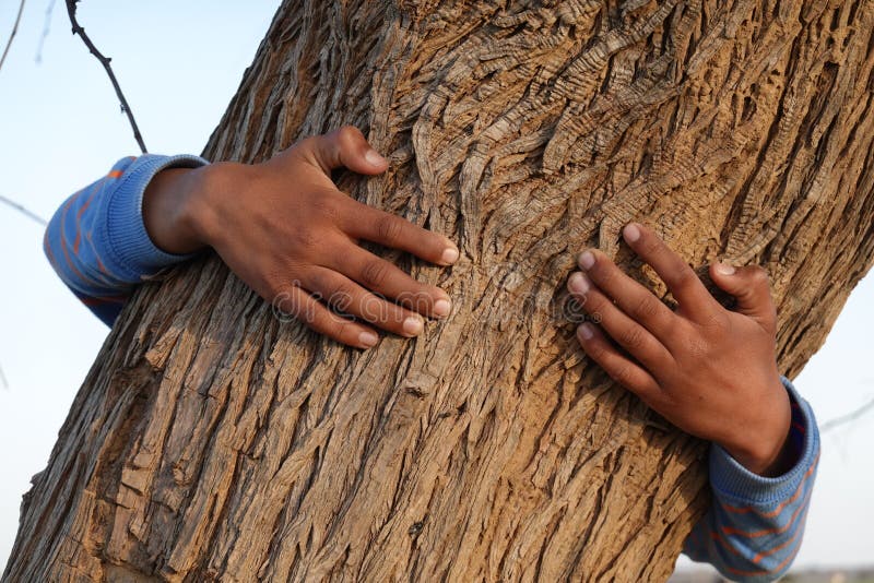 A Kid Hugging the Tree Trunk Stock Photo - Image of trunk, leaf: 183017896