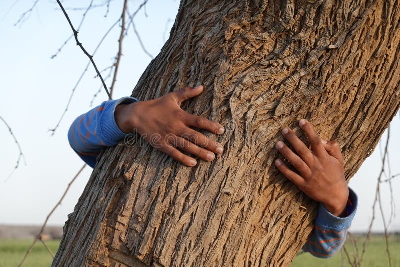 A Kid Hugging the Tree Trunk Stock Photo - Image of soil, trunk: 183017916