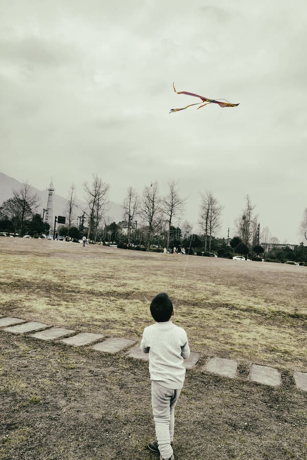 Kid flying kite stock image. Image of kite, outdoor, recreation - 66618789
