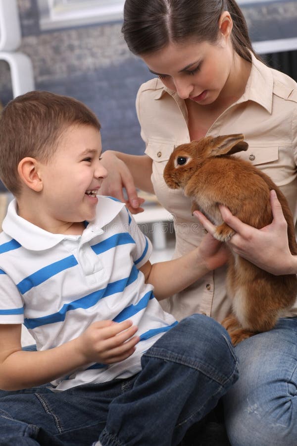 Child with Pet Rabbit stock photo. Image of young, rabbit - 2020250