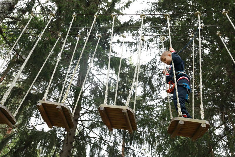Boy on Obstacle Course in Forest Stock Photo - Image of amusement ...
