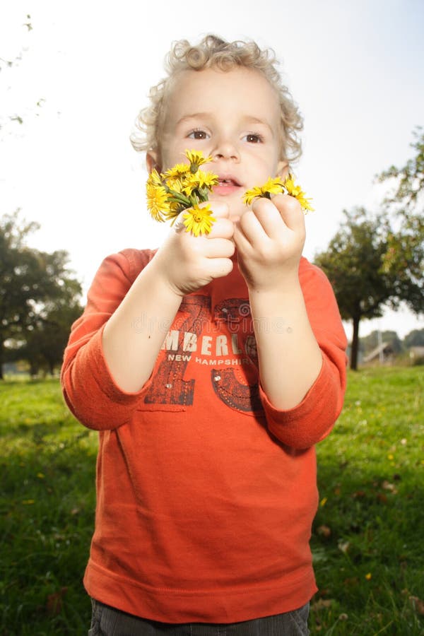 Kid picking up flowers stock image. Image of play, innocence - 8149205