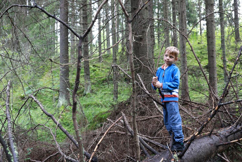 Kid in pine forest stock photo. Image of environmental - 198438410