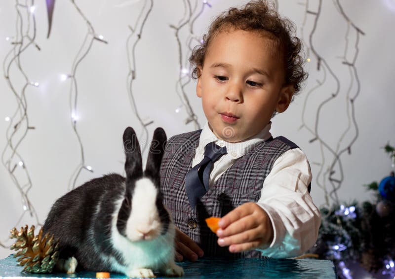 Kid playing with a rabbit. stock image. Image of pamper - 48793115
