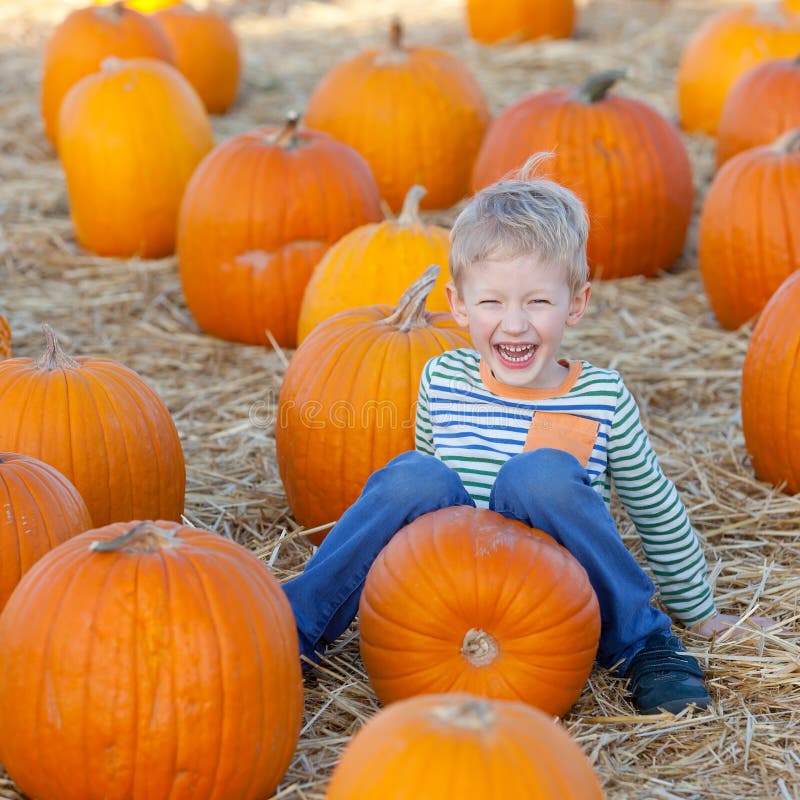 Kid at pumpkin patch stock image. Image of happy, pumpkin - 45670805