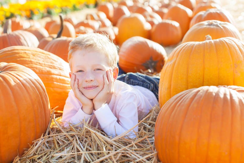 Kid at pumpkin patch stock image. Image of american, family - 61247599