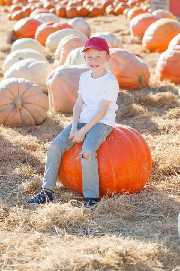 Kid at pumpkin patch stock image. Image of cute, cheerful - 61131993