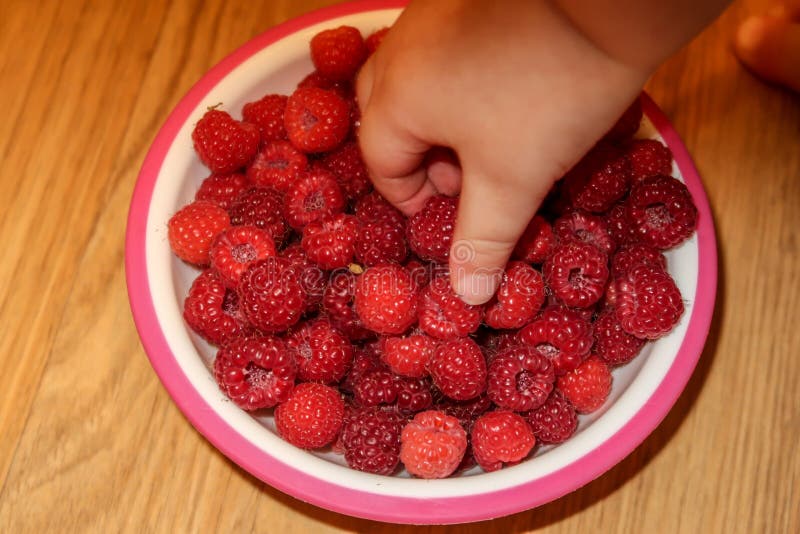 Kid`s Hand Over a Bowl of Raspberries Stock Image - Image of nails ...