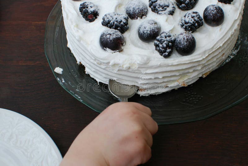Tasty cake stock image. Image of cake, kids, white, tasty - 111393903
