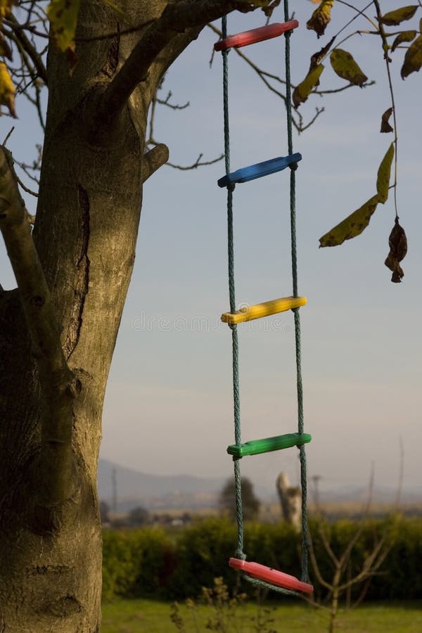 Kid s ladder stock image. Image of ladder, rope, holding - 6962615